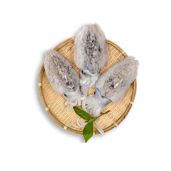 SOTONG KATAK Premium IQF Frozen 300g/pack – Manja Foods