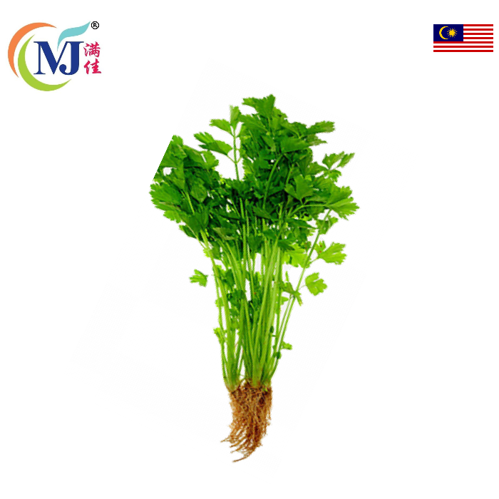 PARSLEY LEAVES / DAUN SOUP – Manja Foods