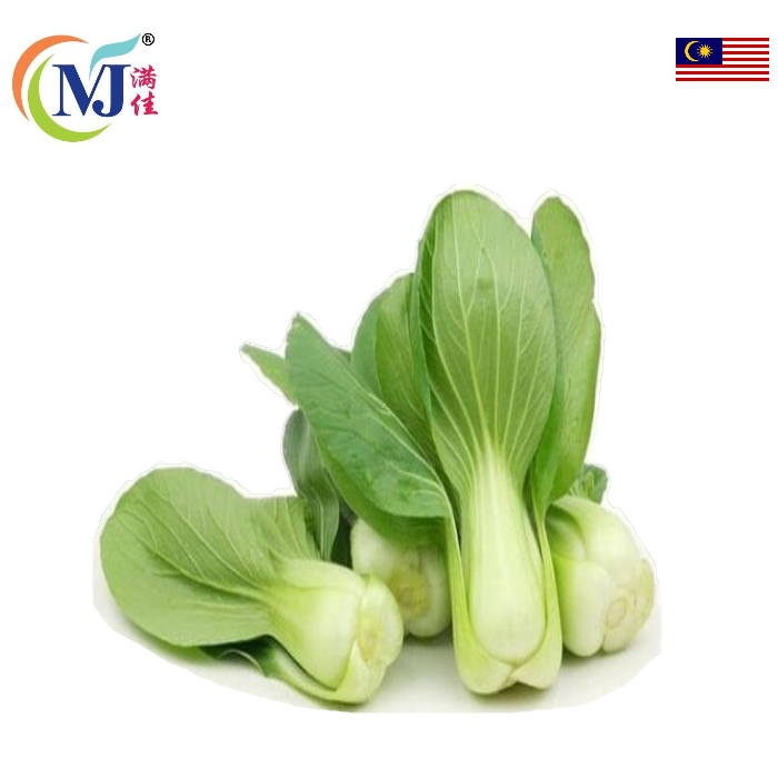 SAWI PENDEK PUTIH / Siew Pak Choy – Manja Foods