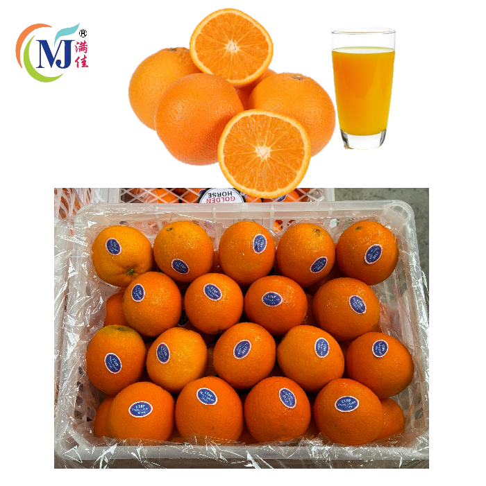 ORANGE /OREN For Juice Valencia/Spain – Manja Foods
