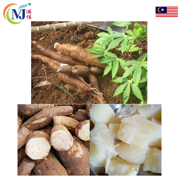 UBI KAYU / Cassava Roots – Manja Foods