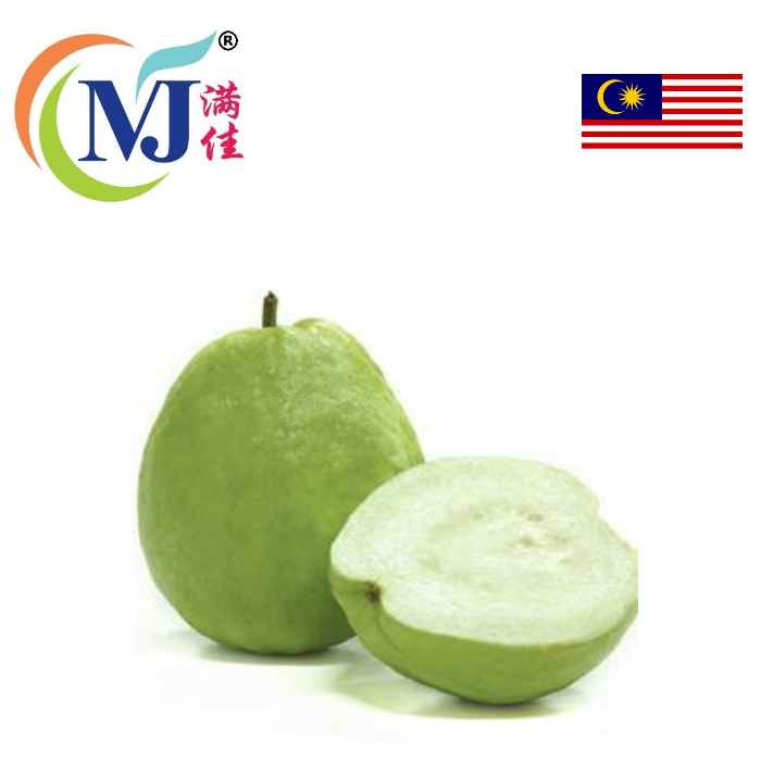 JAMBU BATU/GREEN GUAVA Local – Manja Foods
