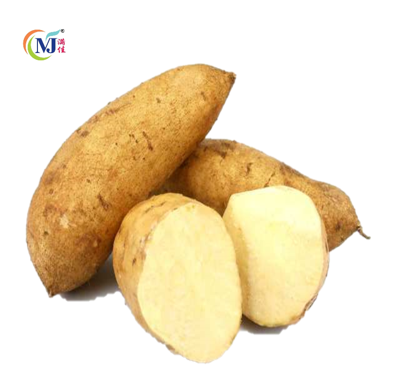 KELEDEK PUTIH / Sweet Potato WHITE – Manja Foods