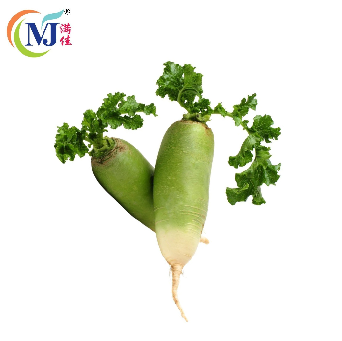 LOBAK HIJAU / GREEN RADISH – Manja Foods
