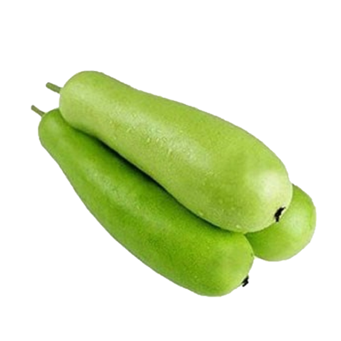 LABU AIR / WATER Gourd /Bottle Gourd – Manja Foods