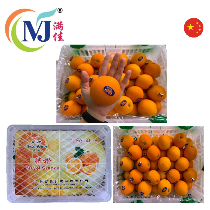 ORANGE /OREN Navel China – Manja Foods