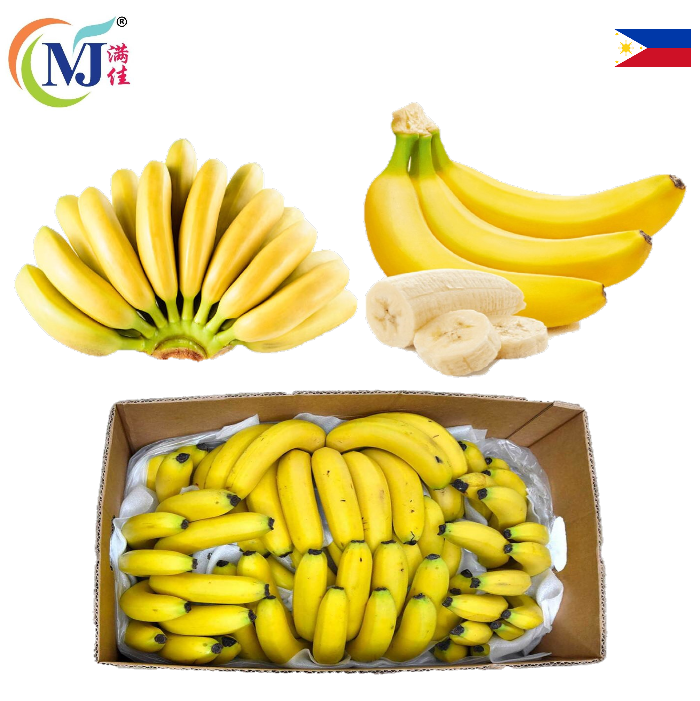 PISANG MONTEL /BANANA CAVENDISH Fresh – Manja Foods