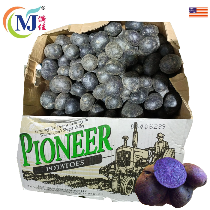 POTATO RUSSET PURPLE USA – Manja Foods