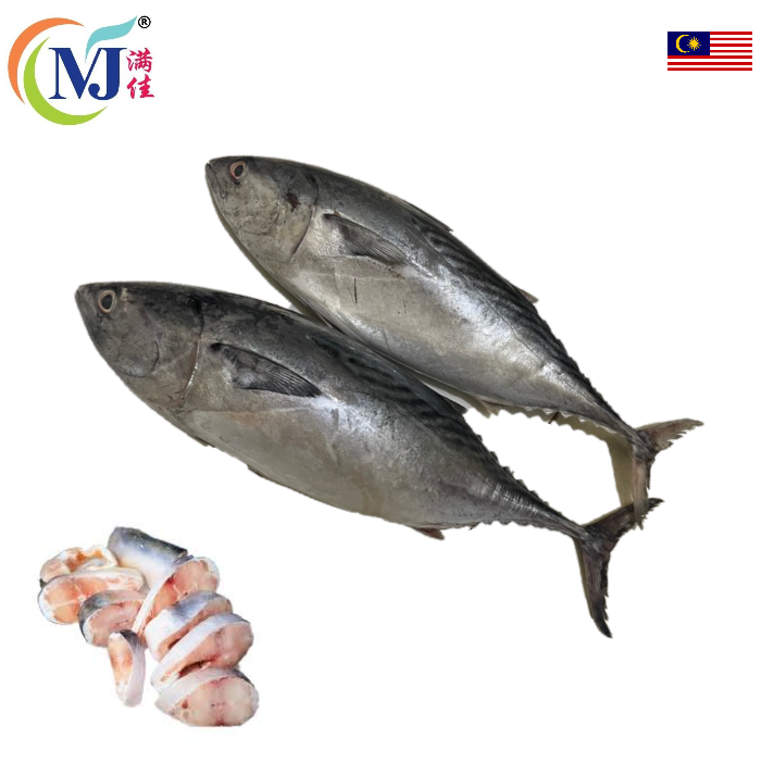 FISH TONGKOL BLACK – Manja Foods