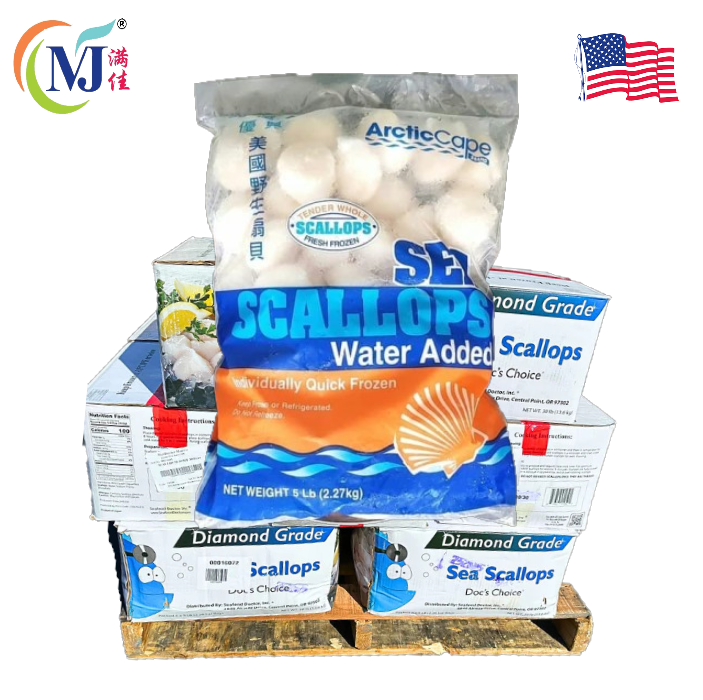 SCALLOP MEAT SEA USA – Manja Foods