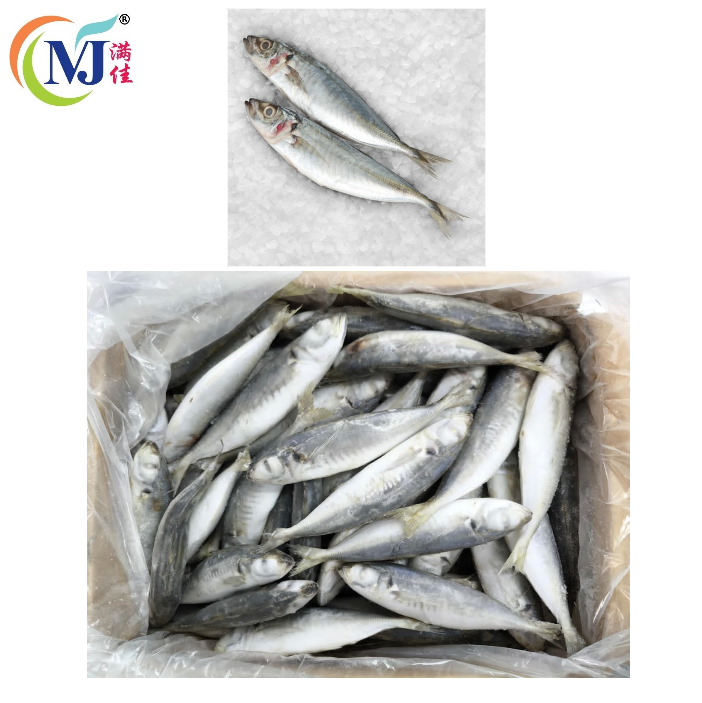 FISH SARDINE White Frozen – Manja Foods
