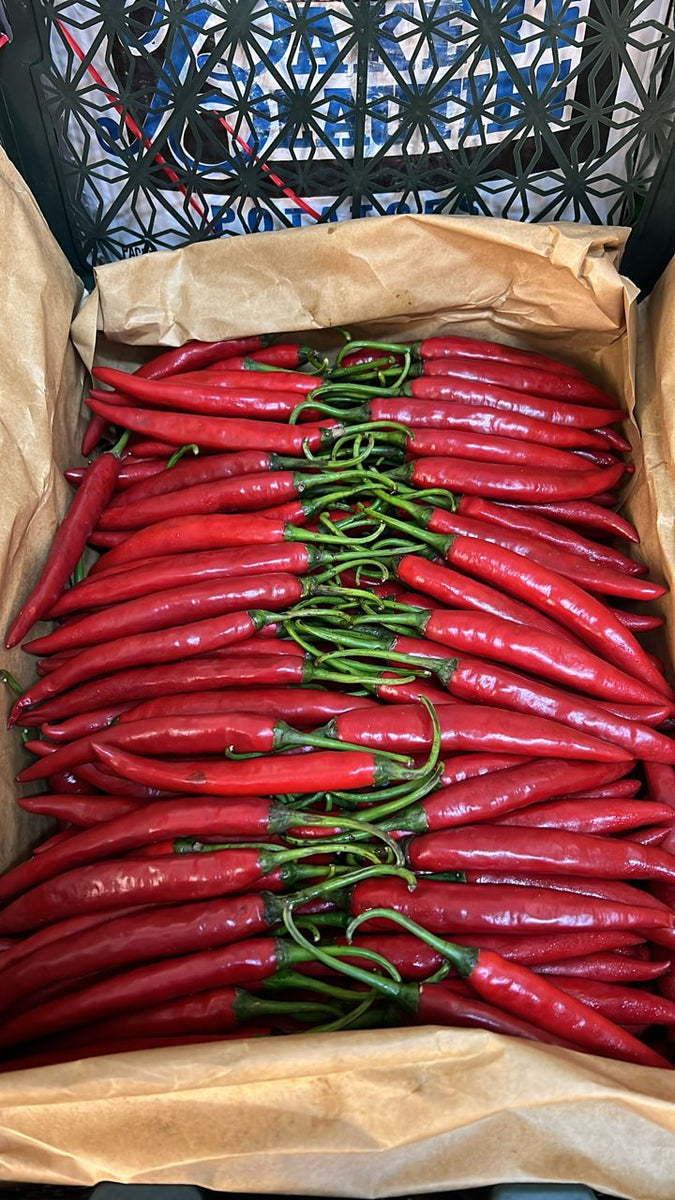 CILI MERAH / RED CHILLE 红辣椒 – Manja Foods