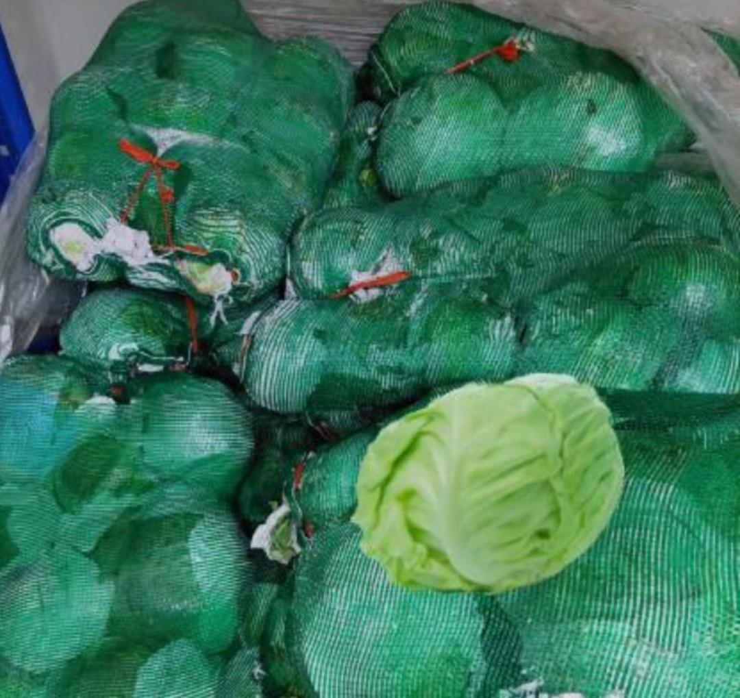 KOBIS BULAT /CABBAGE ROUND White Cameron – Manja Foods