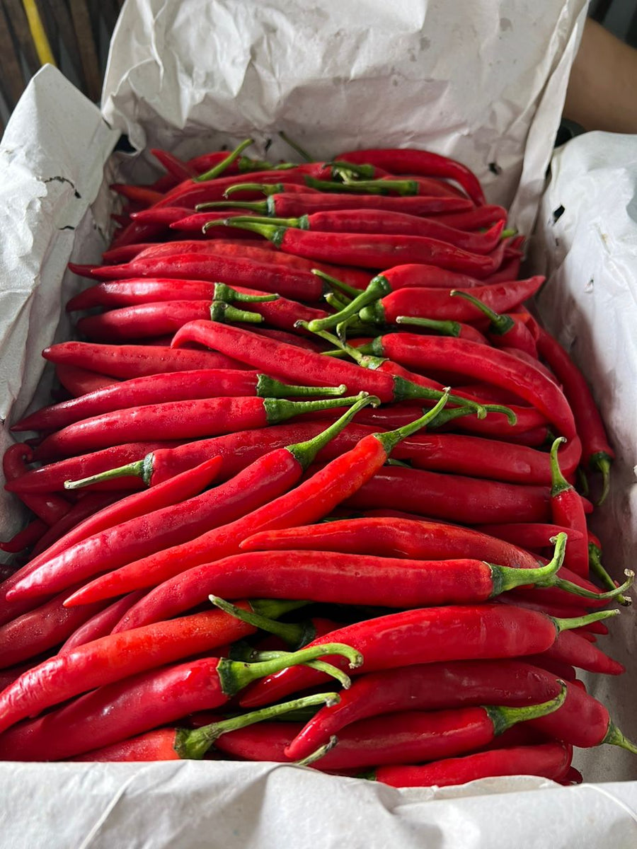 CILI MERAH / RED CHILLE 红辣椒 – Manja Foods