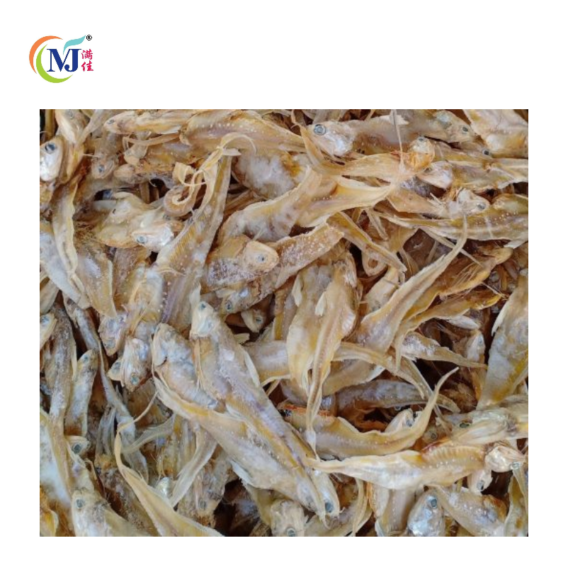 FISH SALTED/IKAN MASIN BULU AYAM/QuillFish – Manja Foods