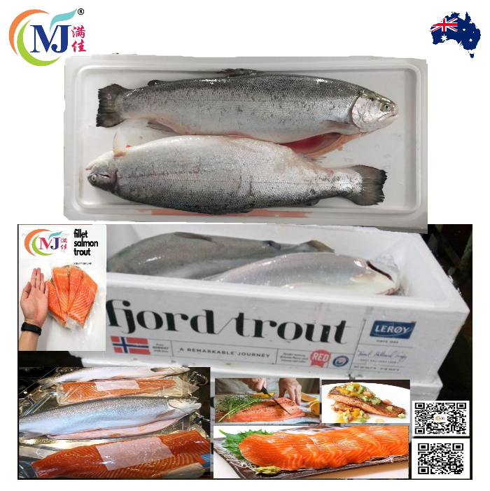 FISH SALMON TROUT Fresh Norway – Manja Foods