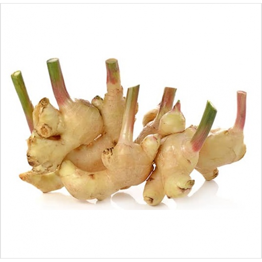 HALIA MUDA/GINGER YOUNG – Manja Foods