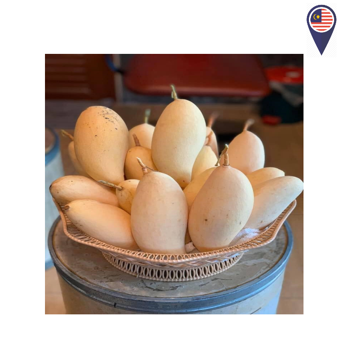 MANGOES MASAK SUSU Fresh Local – Manja Foods