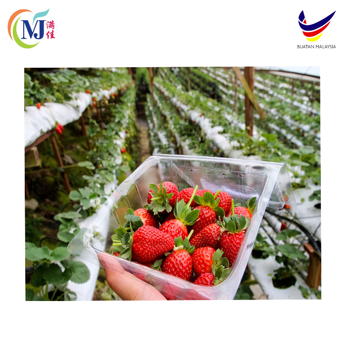 STRAWBERRIES Cameron 250g/pack – Manja Foods