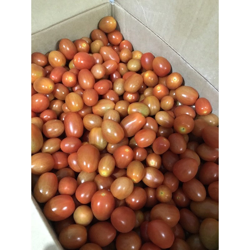 TOMATO CHERRY RED Cameron 10kg/box – Manja Foods