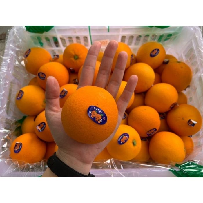 ORANGE Navel China – Manja Foods