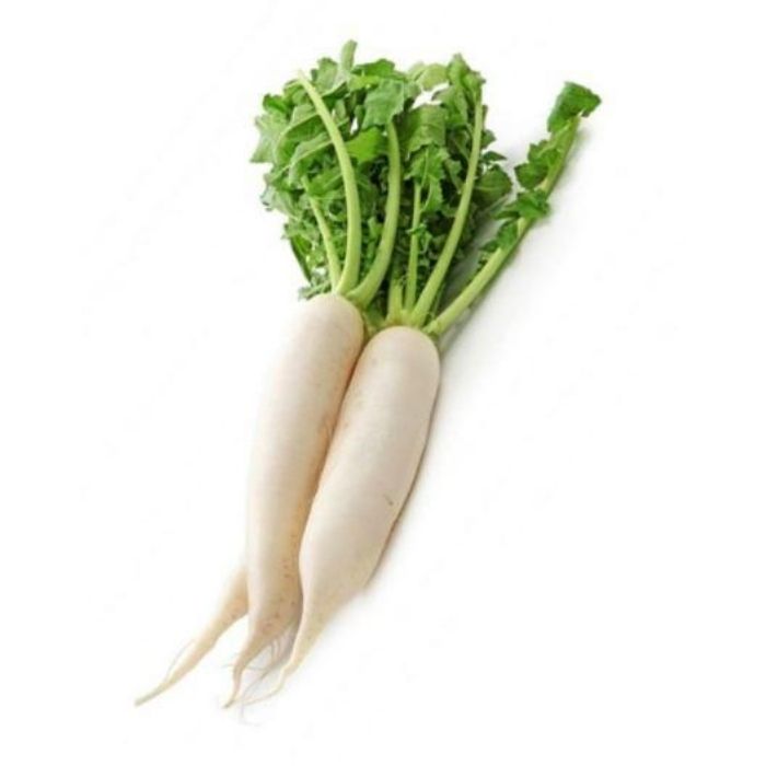 LOBAK PUTIH / WHITE RADDISH / DAIKON – Manja Foods