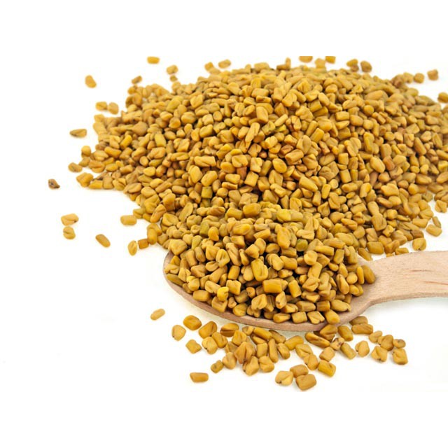 BIJI HALBA/Fenugreek – Manja Foods