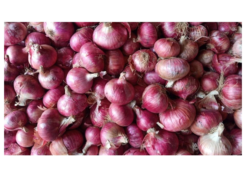 ONION RED SMALL Pakistan – Manja Foods