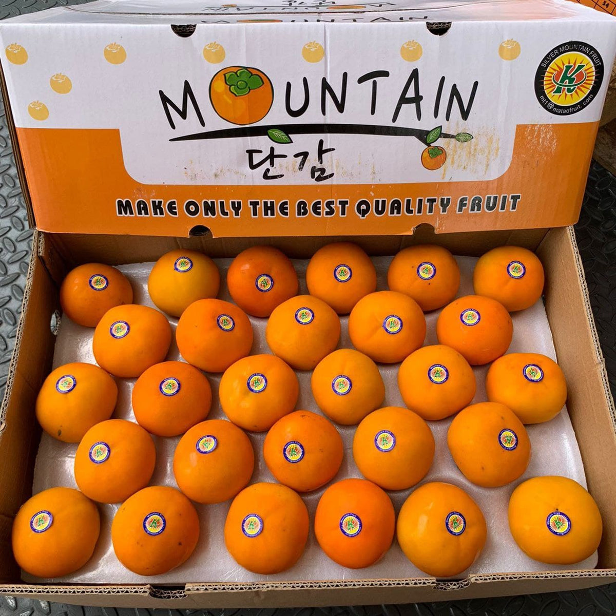 PERSIMMON Fruits/KESEMEK BUAH – Manja Foods