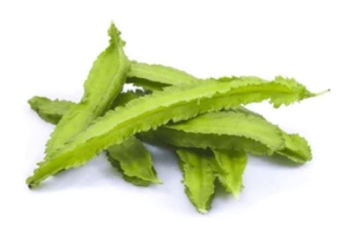KACANG BOTOL/Four Angle Bean/winged bean – Manja Foods